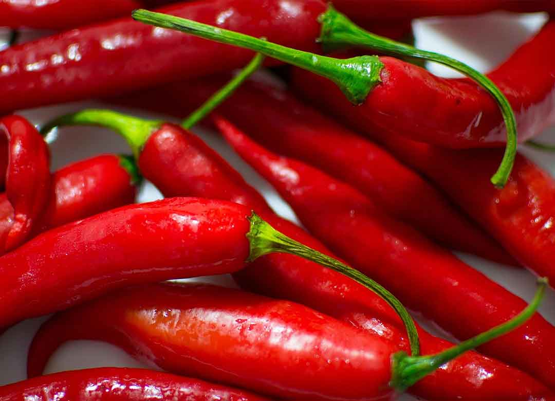 Tanaman Cabai - Cara Menanam, Penyakit, Hama pada Cabe Lengkap